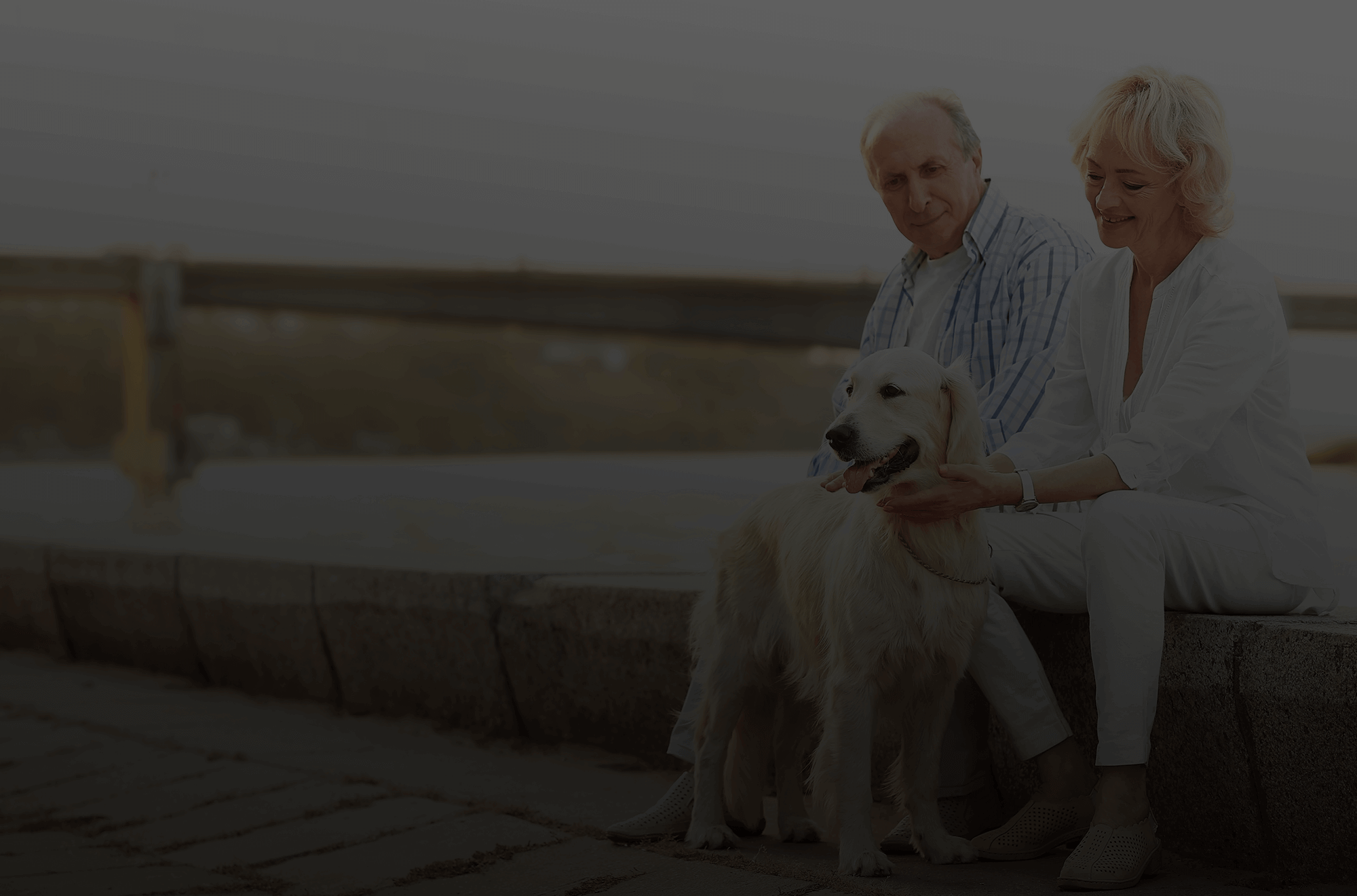 securecare-banner-1 (1) | Medicare Supplement Experts Since 1981 ...